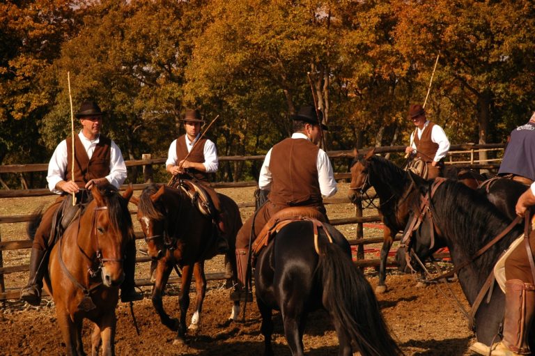 I butteri di Cisterna: storia, cultura e conservazione di una ...