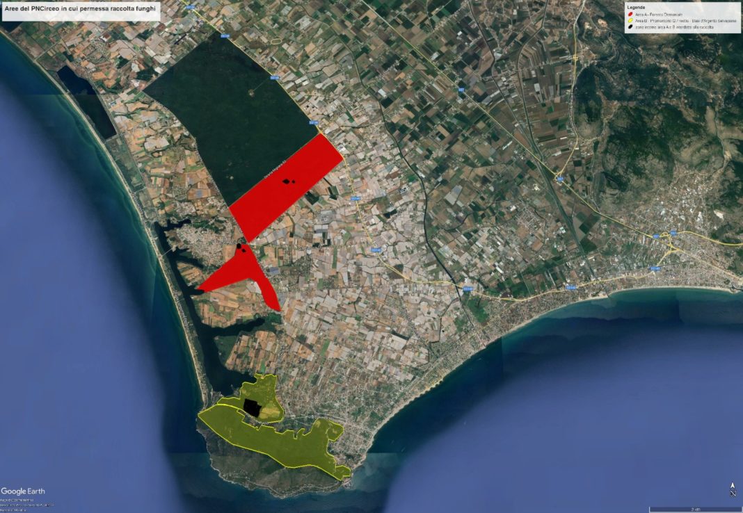 San Felice Circeo, le regole per la stagione dei funghi